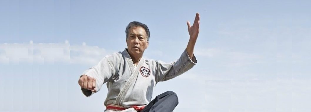 SGM Al Dacascos - Kung & Fitness Schule Hamburg Bahrenfeld